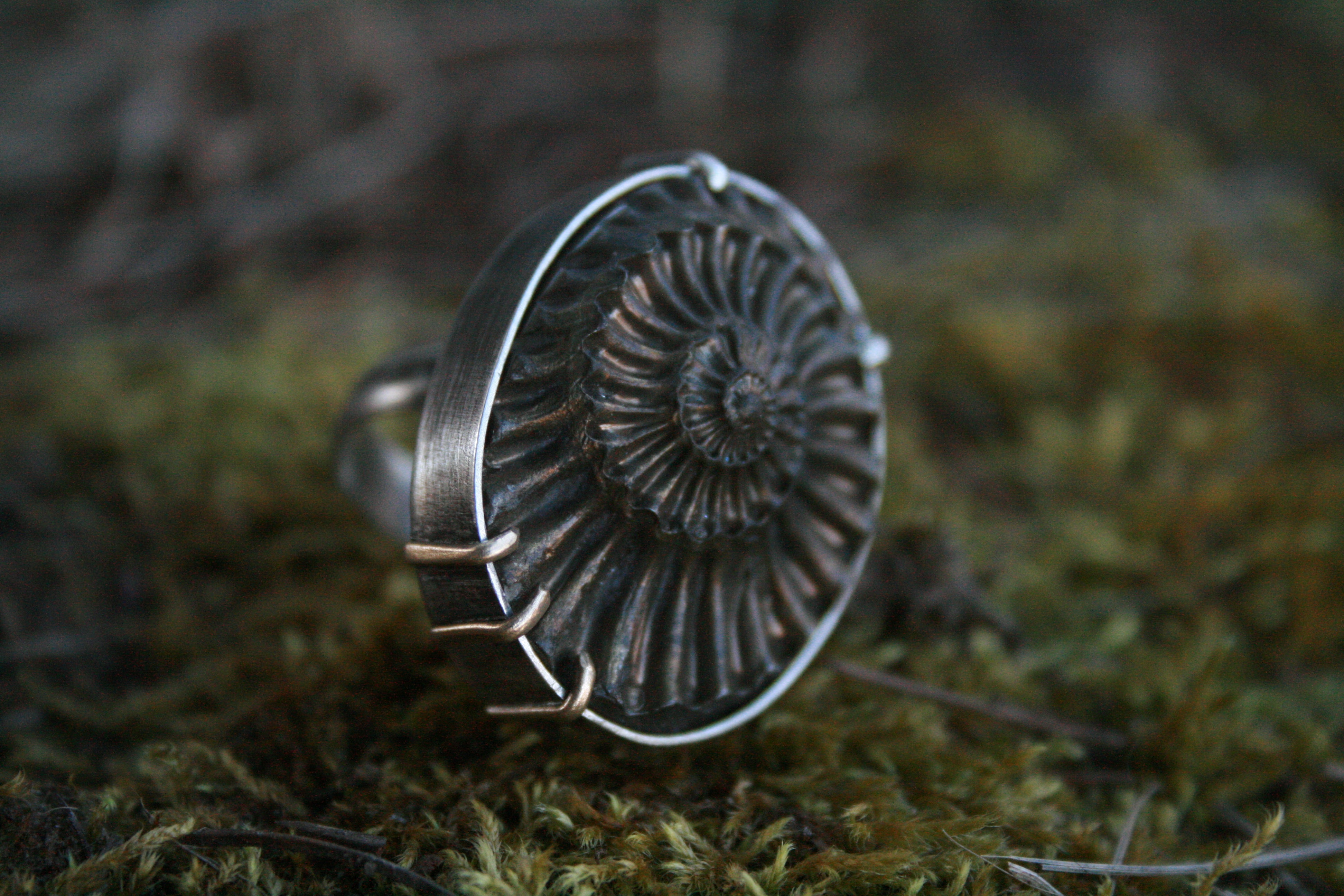 Past Work – Sable Stone