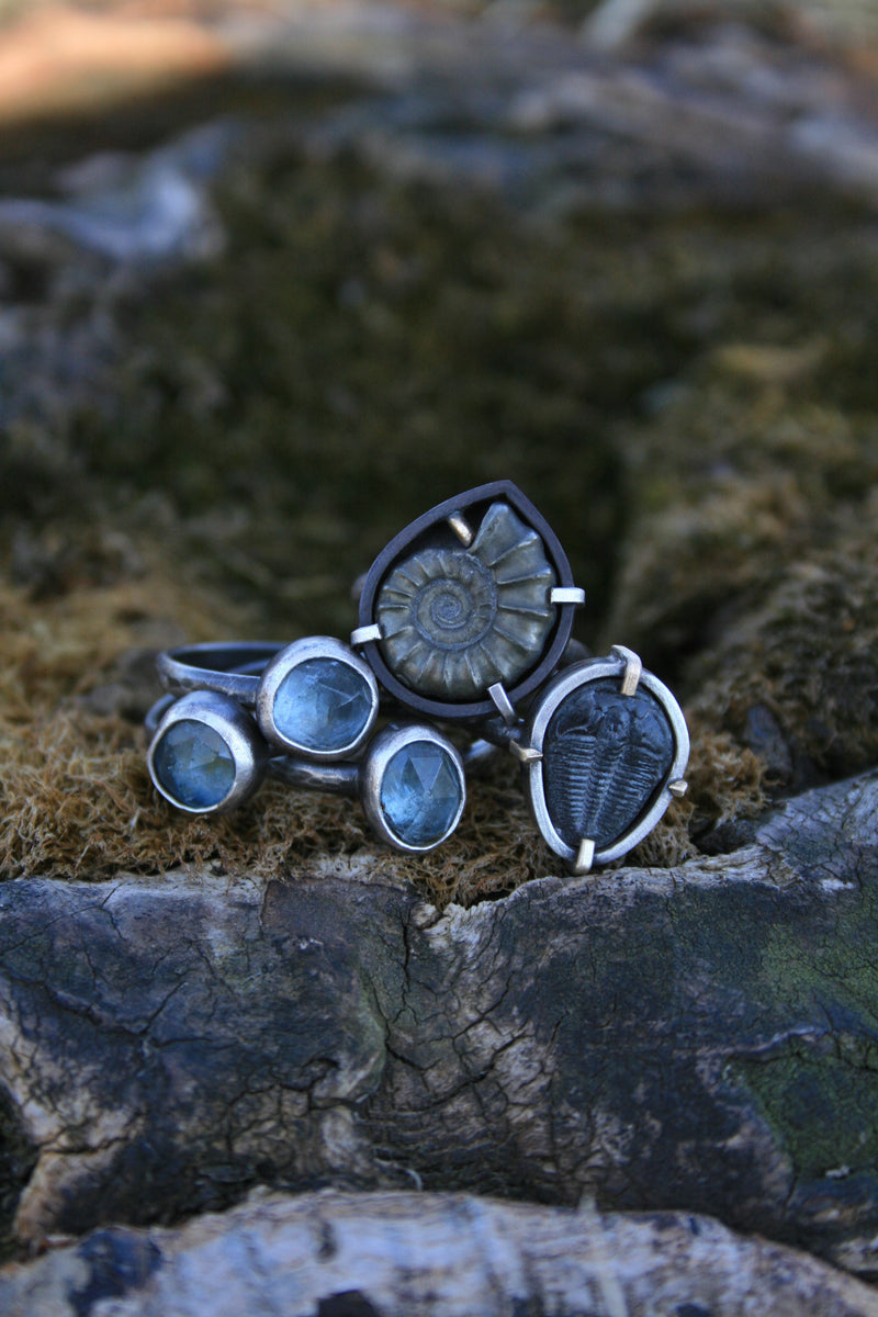 Fossil Rings – Sable Stone